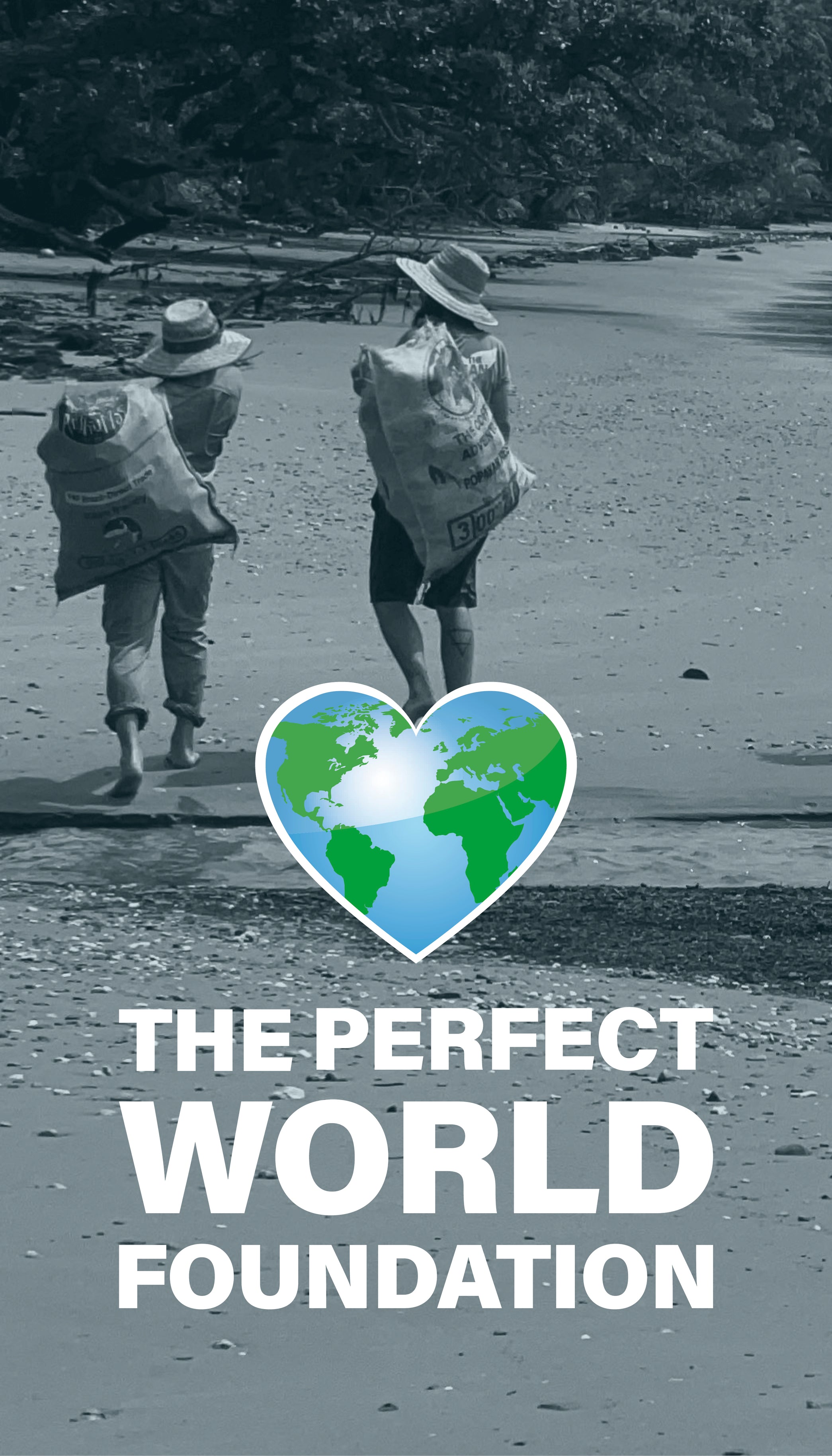 The Perfect World Foundation